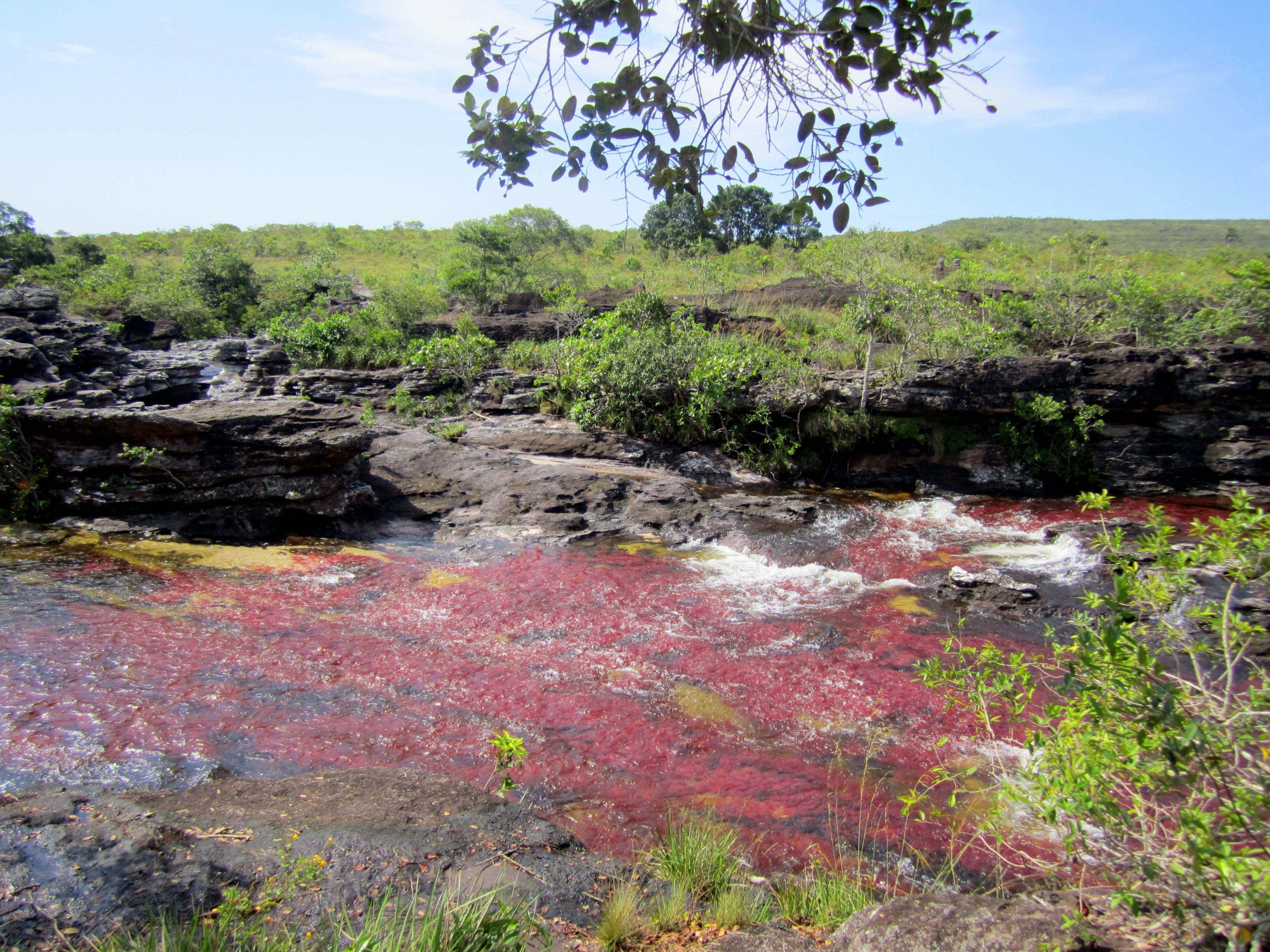 Liquid Rainbow River Of Columbia HD Wallpapers - Wallpaper Cave
