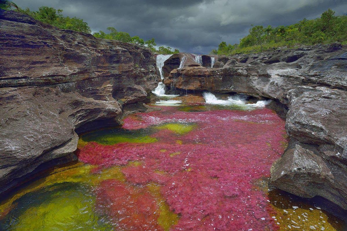 Liquid Rainbow River Of Columbia HD Wallpapers - Wallpaper Cave