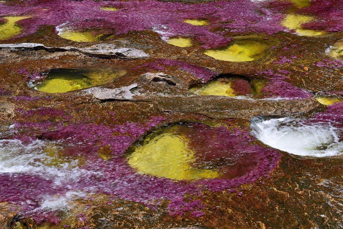 Liquid Rainbow River Of Columbia HD Wallpapers - Wallpaper Cave