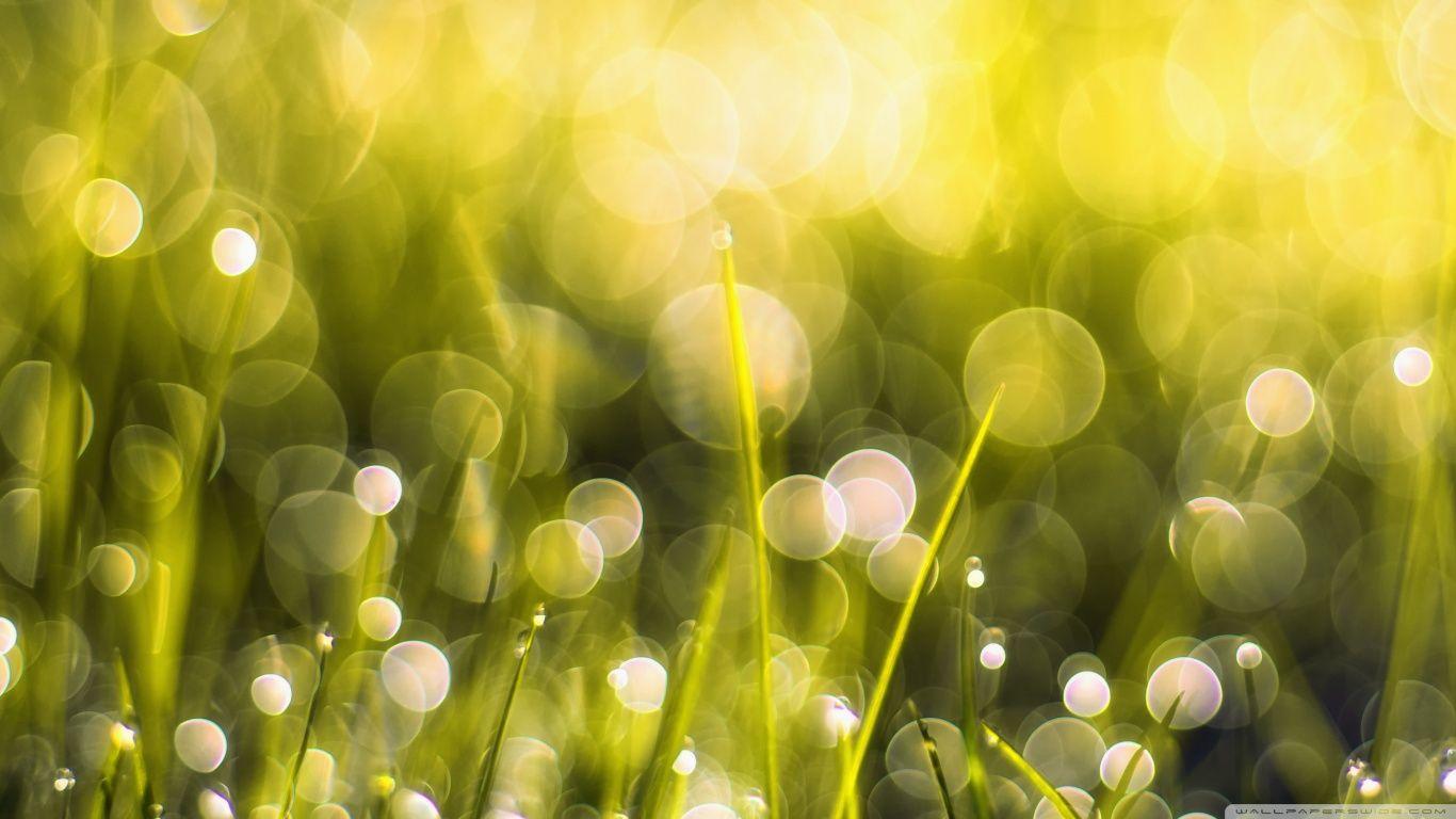 Sunshine HD Wallpapers - Wallpaper Cave