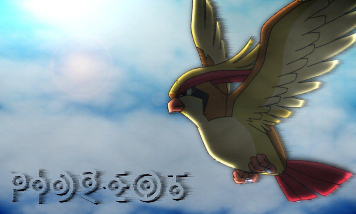 Pidgeot Wallpapers - Wallpaper Cave
