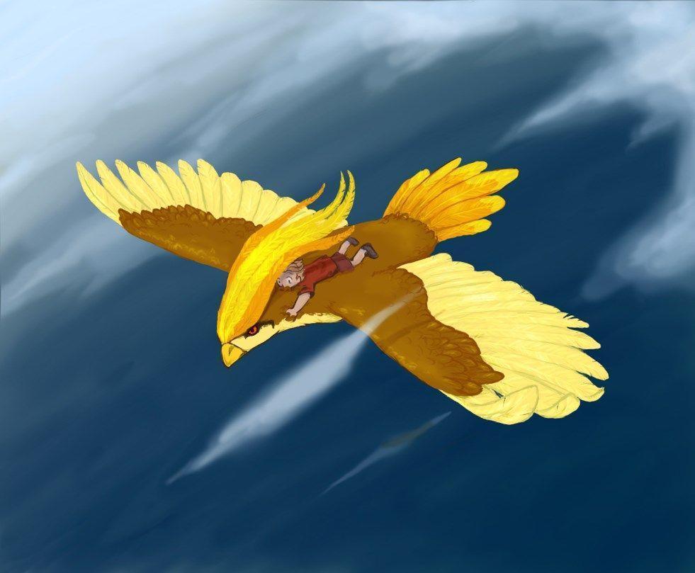 Pidgeot Wallpapers - Wallpaper Cave