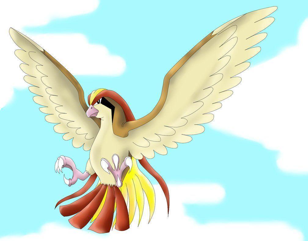 Pidgeot Wallpapers - Wallpaper Cave