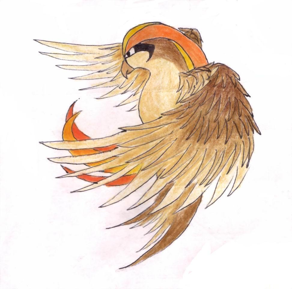 Pidgeot Wallpapers - Wallpaper Cave