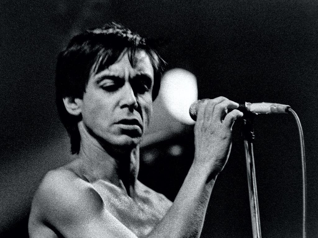 Iggy Pop Wallpapers - Wallpaper Cave
