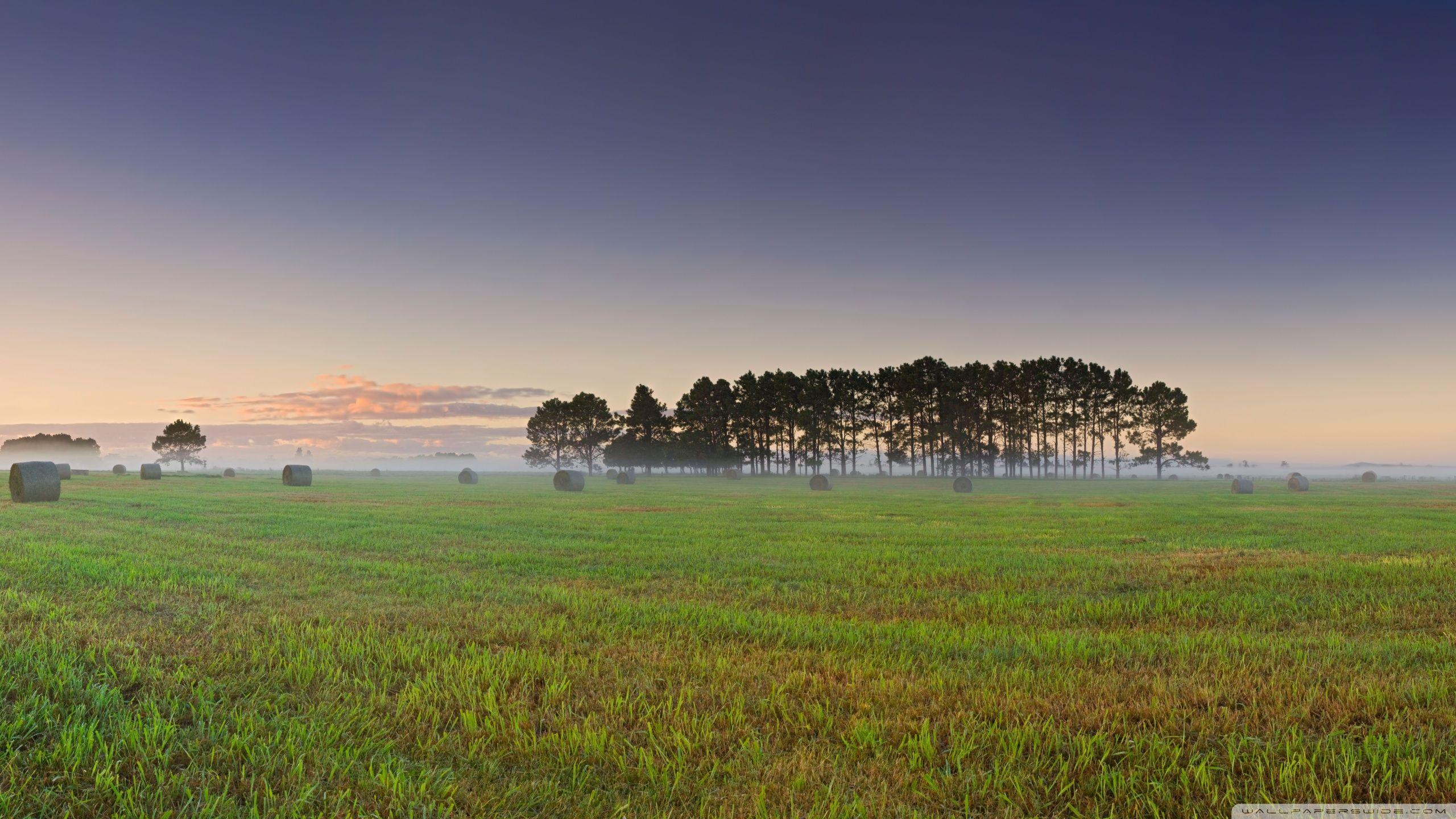 Crop Over Wallpapers - Wallpaper Cave