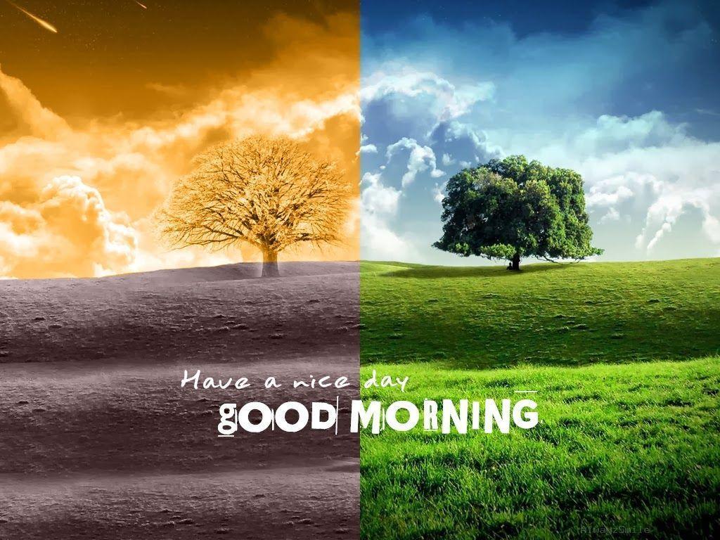Good Day Wallpapers - Wallpaper Cave
