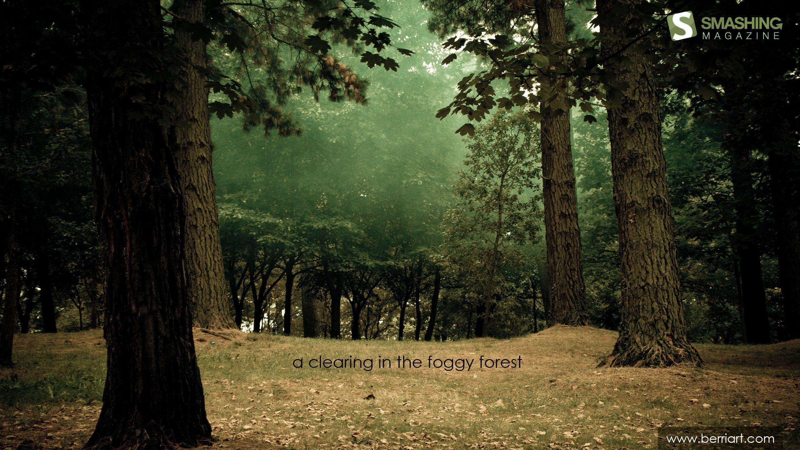 The Forest Wallpapers - Wallpaper Cave