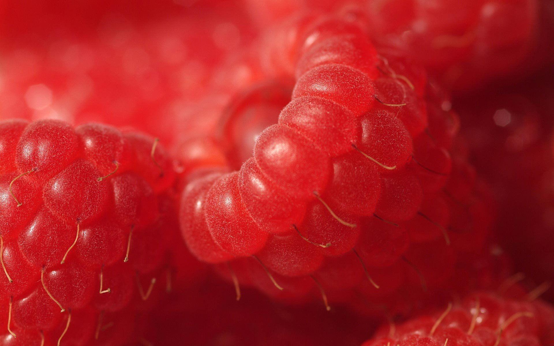 Raspberry Wallpapers - Wallpaper Cave