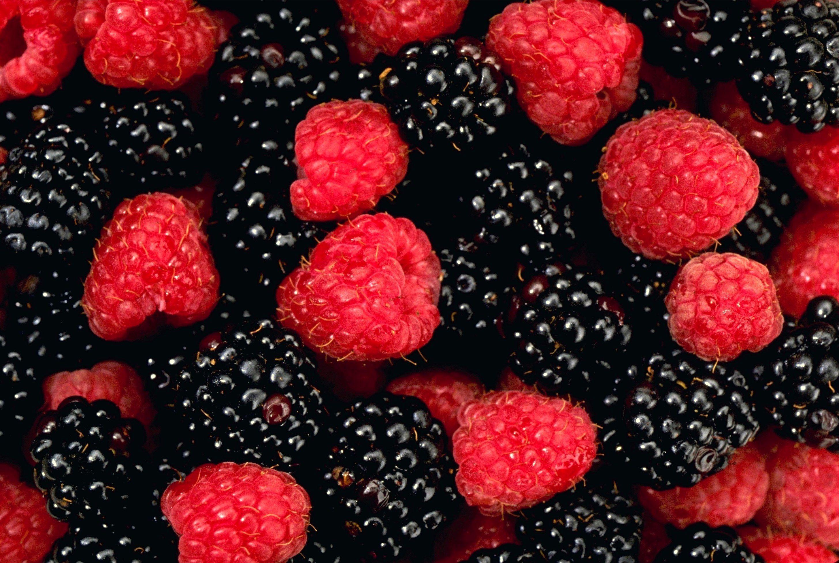 Raspberry Color Wallpaper