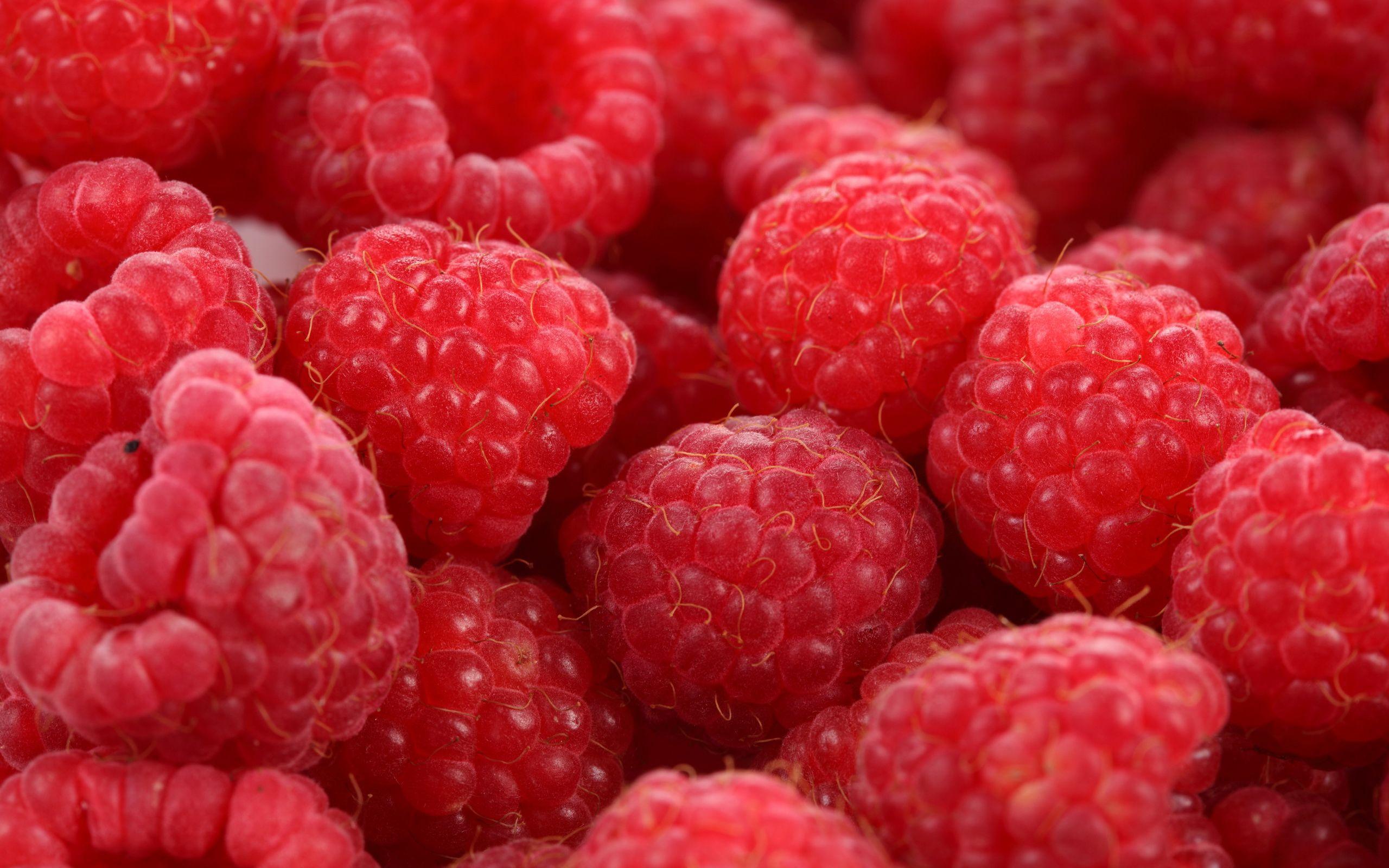 Raspberry Wallpapers - Wallpaper Cave
