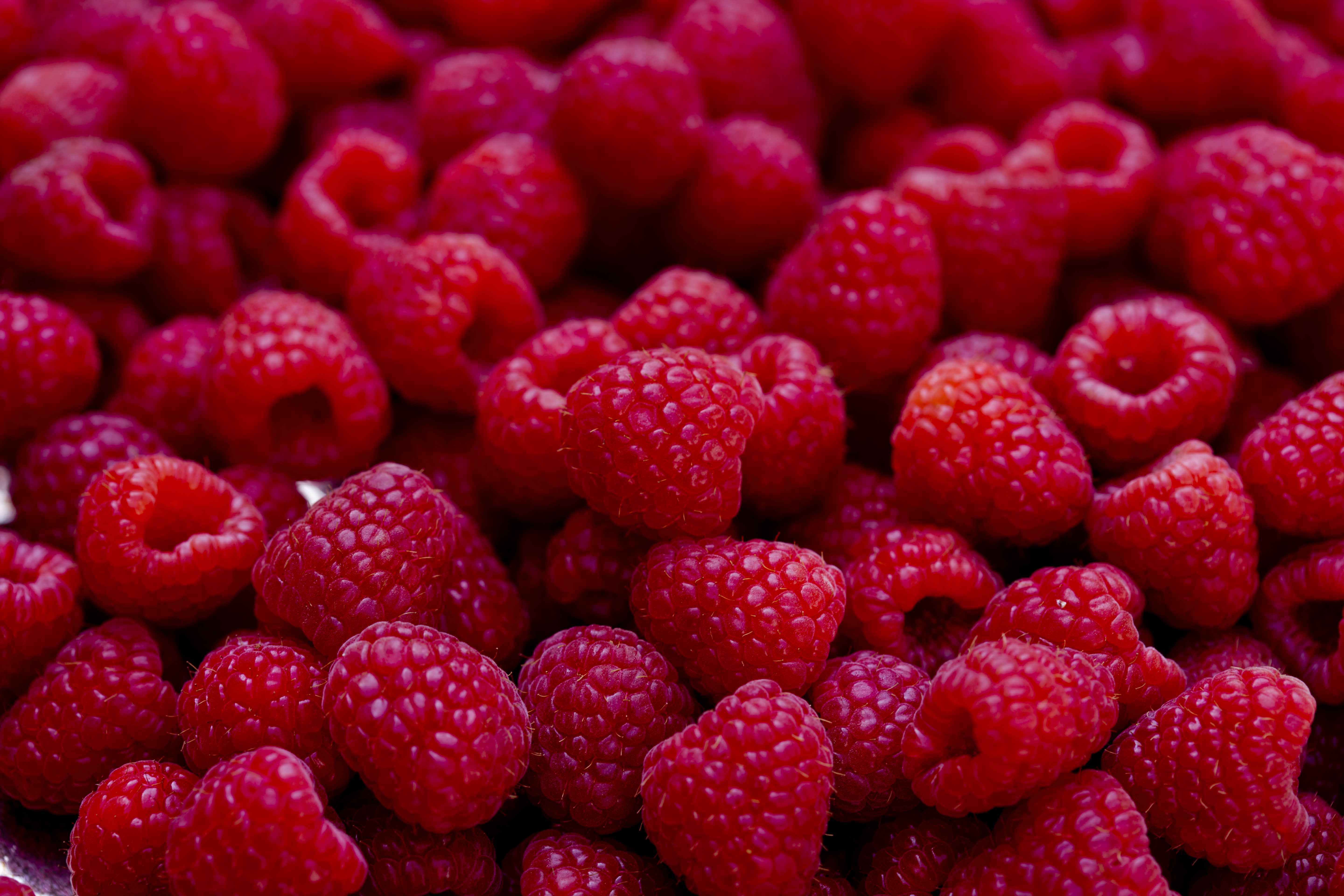 Raspberry Wallpapers - Wallpaper Cave