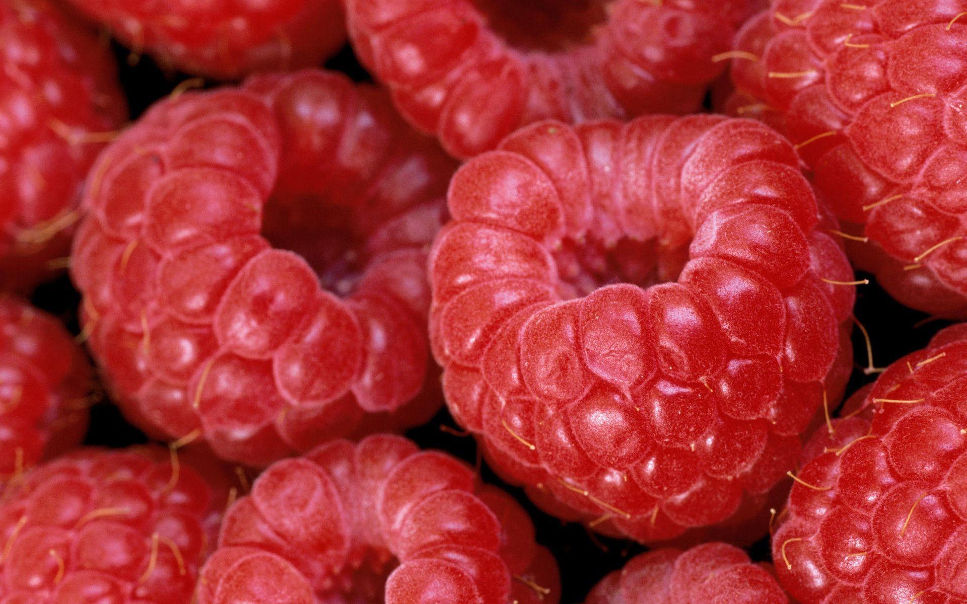 Raspberry Wallpapers - Wallpaper Cave