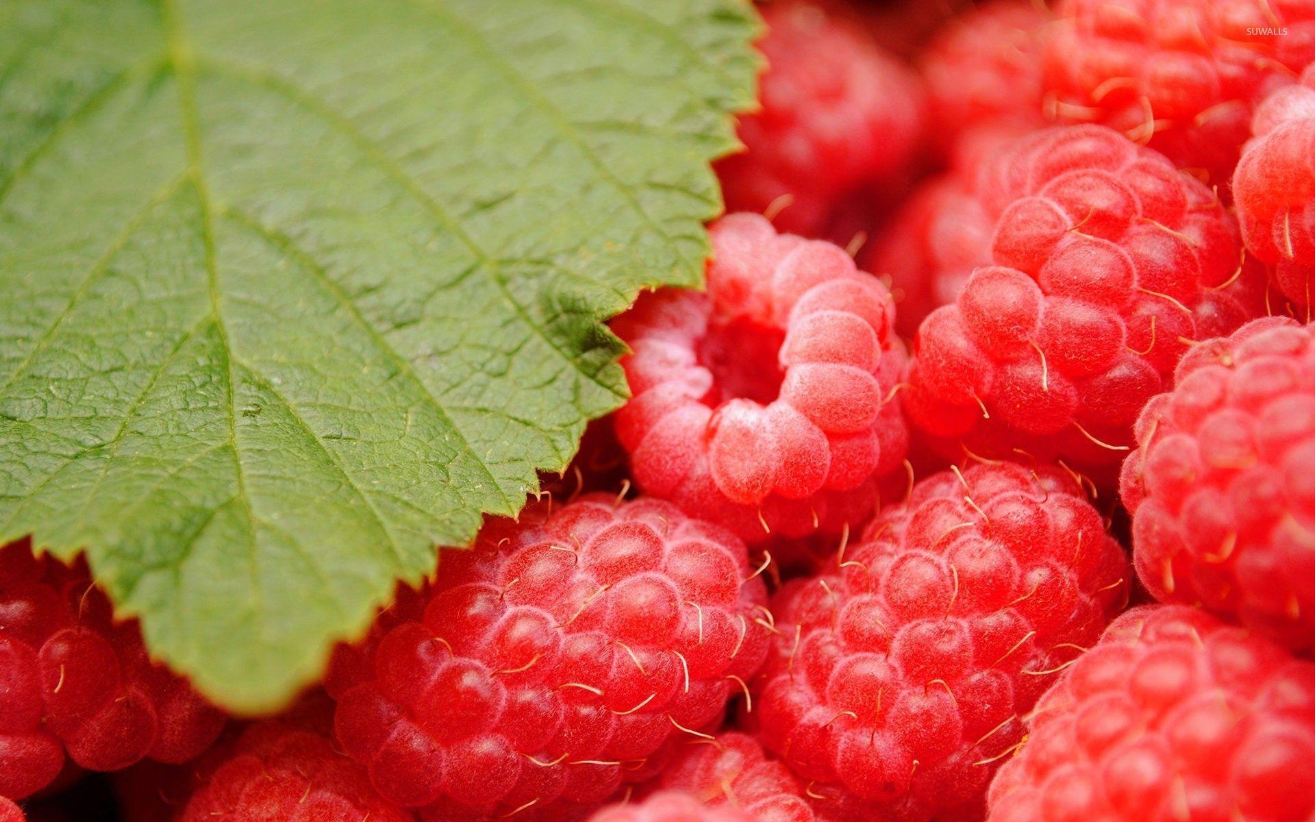 Raspberry Wallpapers - Wallpaper Cave
