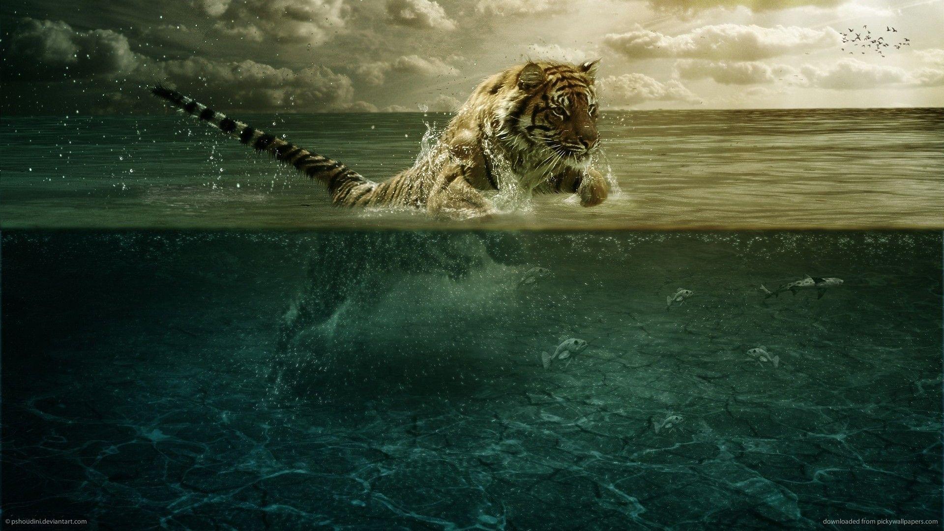 Leap Wallpapers - Wallpaper Cave