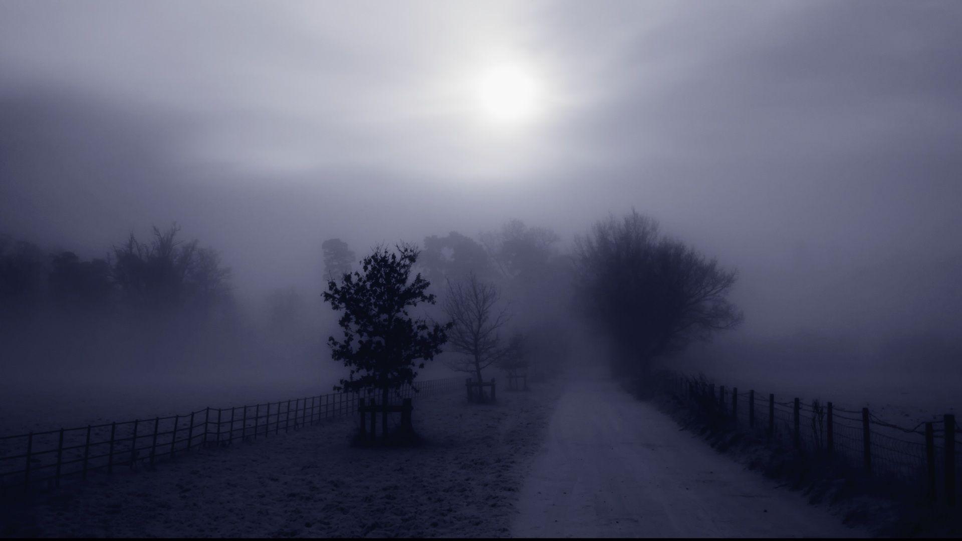 Dense Fog Wallpapers Wallpaper Cave