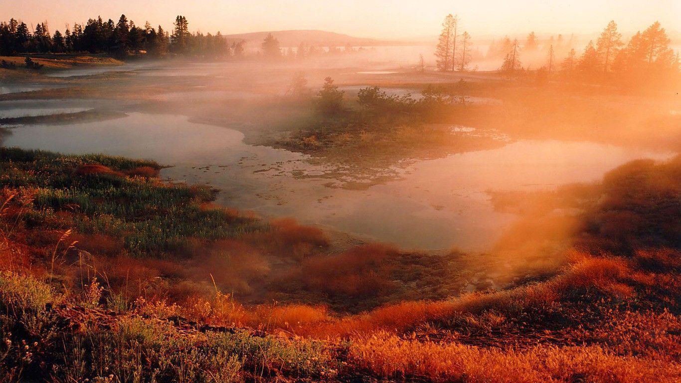 Dense Fog Wallpapers - Wallpaper Cave