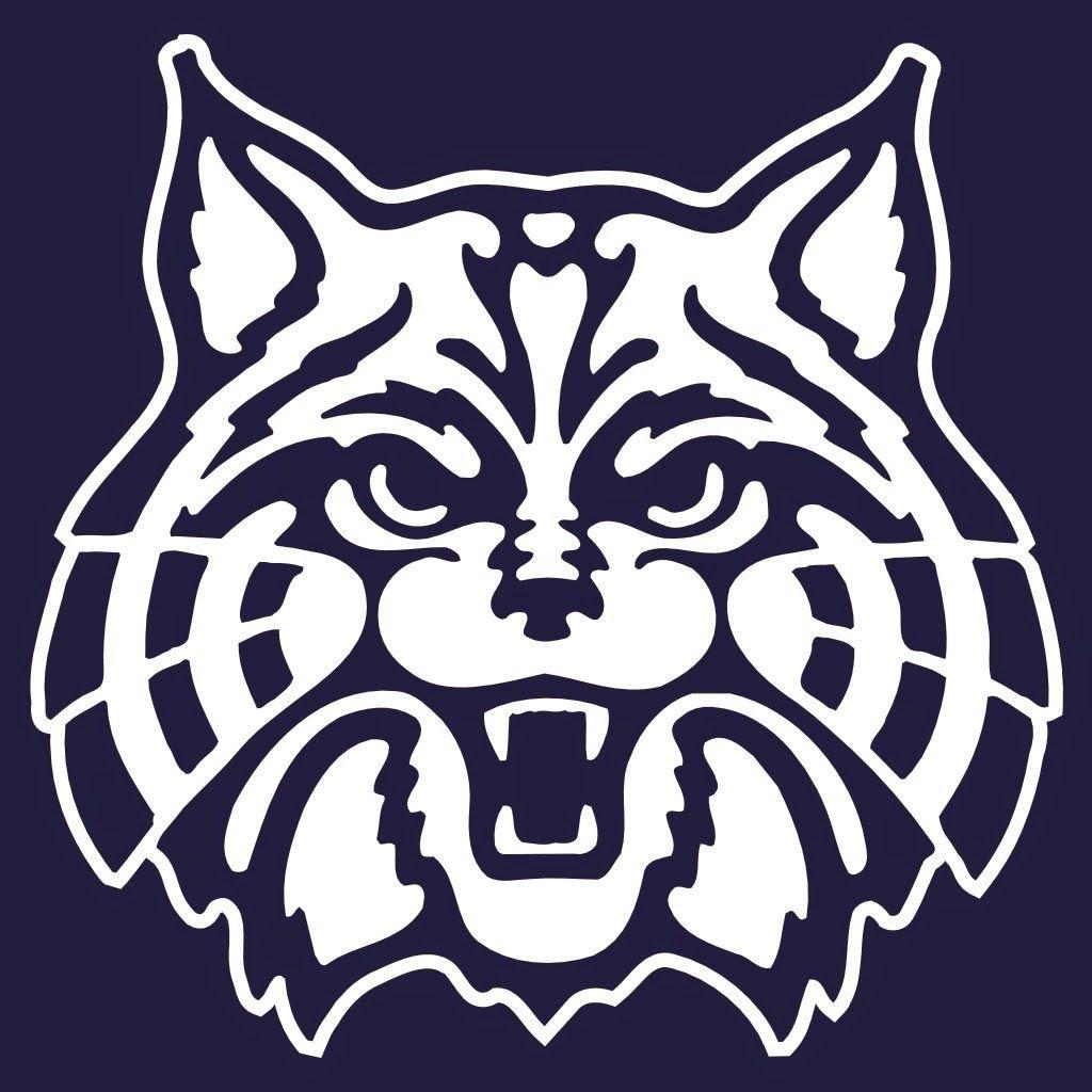 Arizona Wildcats Wallpapers - Wallpaper Cave