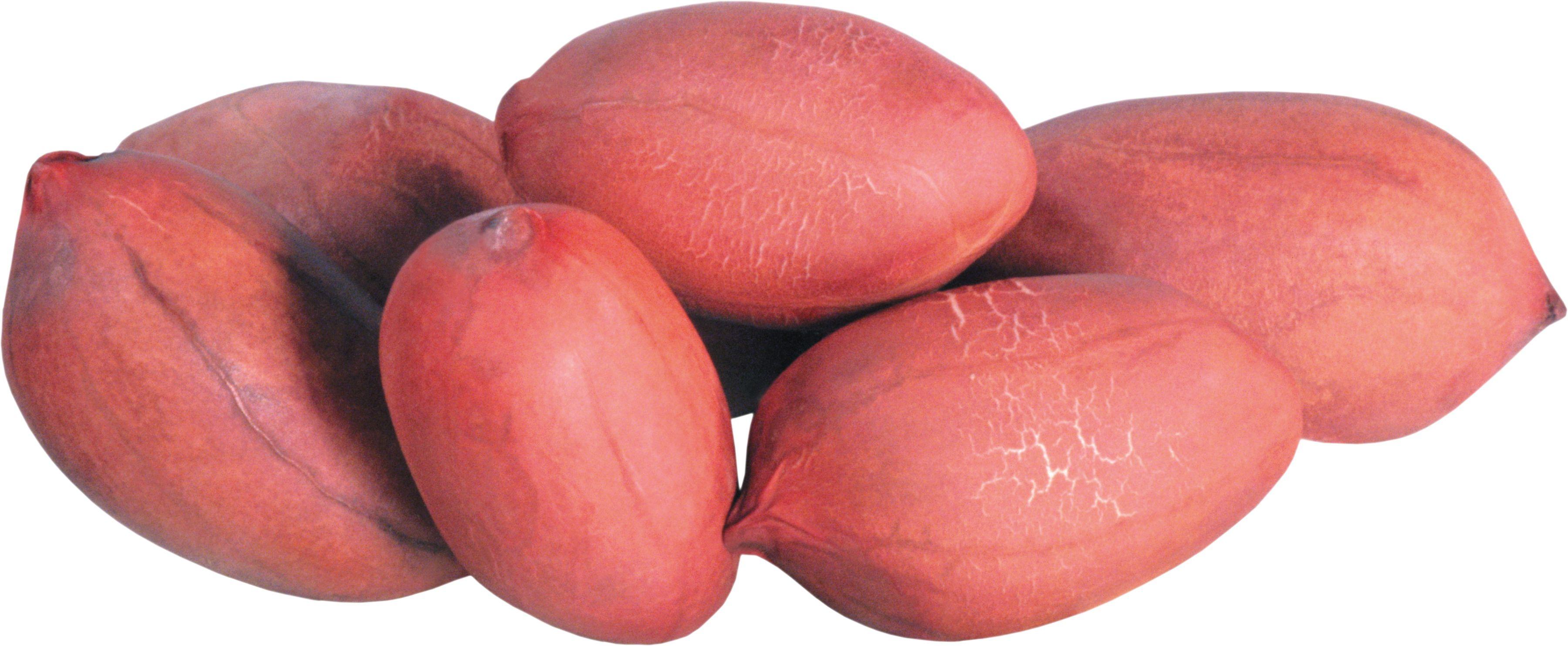 Groundnut Wallpapers - Wallpaper Cave