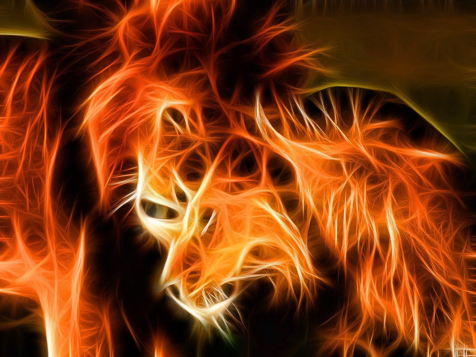 Fire Lion Wallpapers - Wallpaper Cave