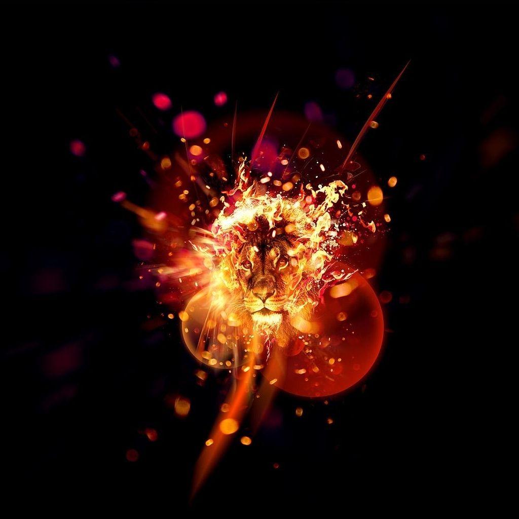 Fire Lion Wallpapers - Wallpaper Cave