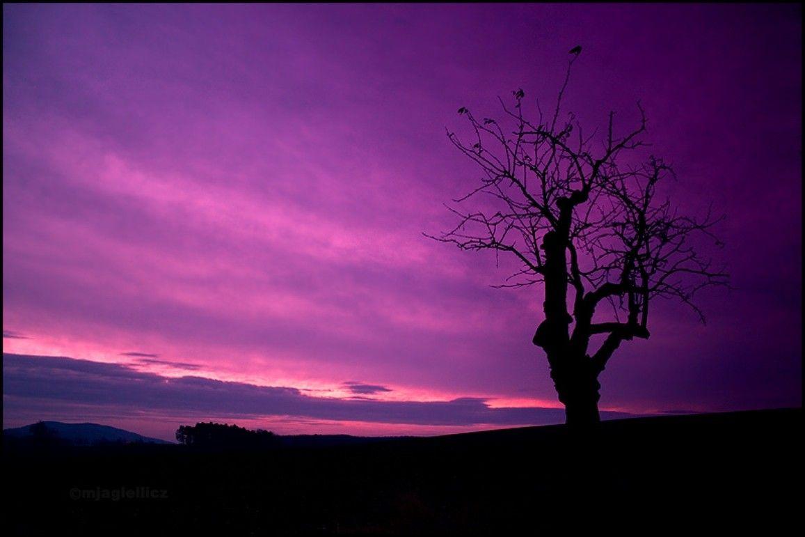 Purple Night Wallpapers - Wallpaper Cave