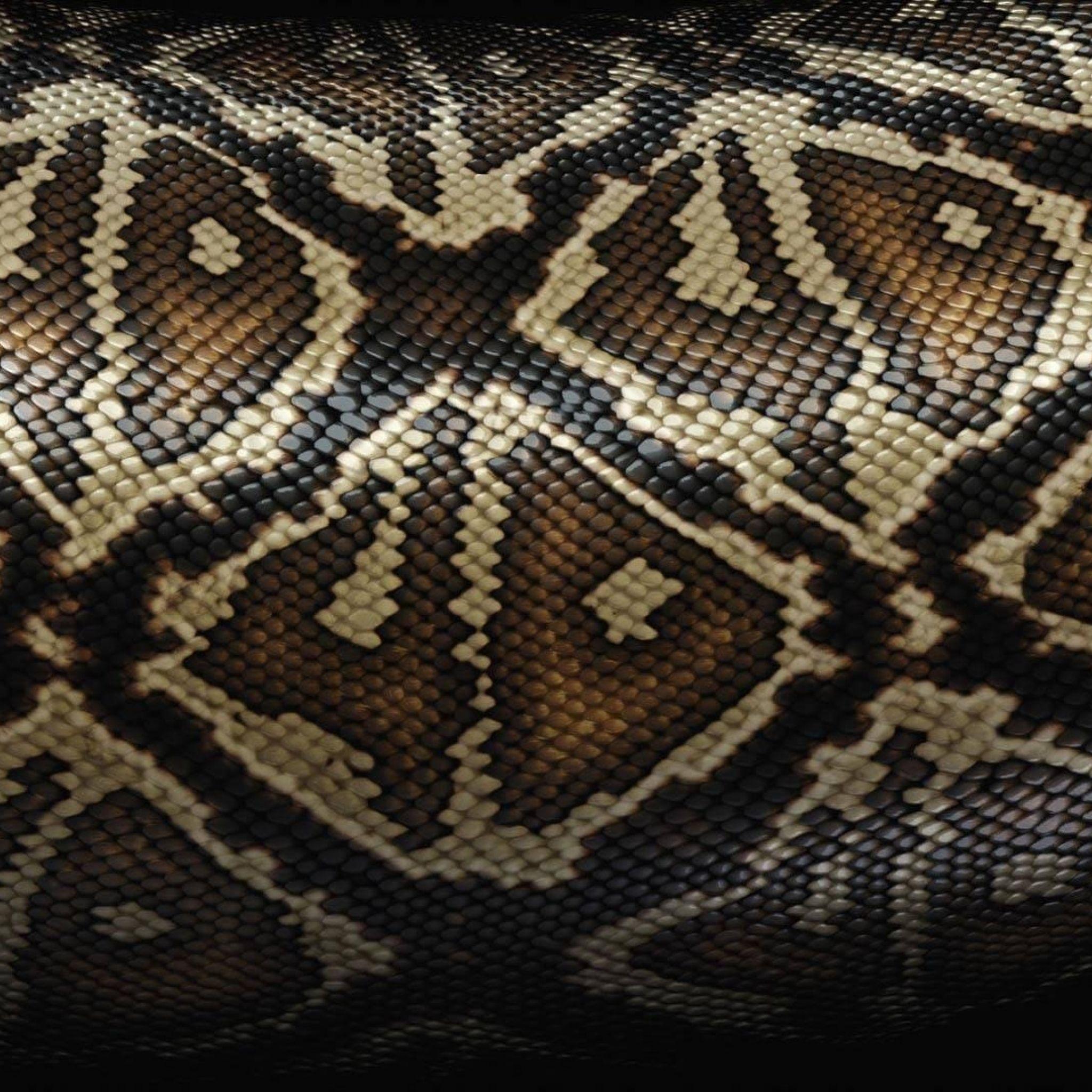 Scales Wallpapers - Wallpaper Cave