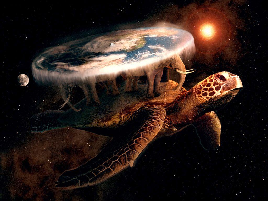 Turtles All The Way Down Wallpapers - Wallpaper Cave