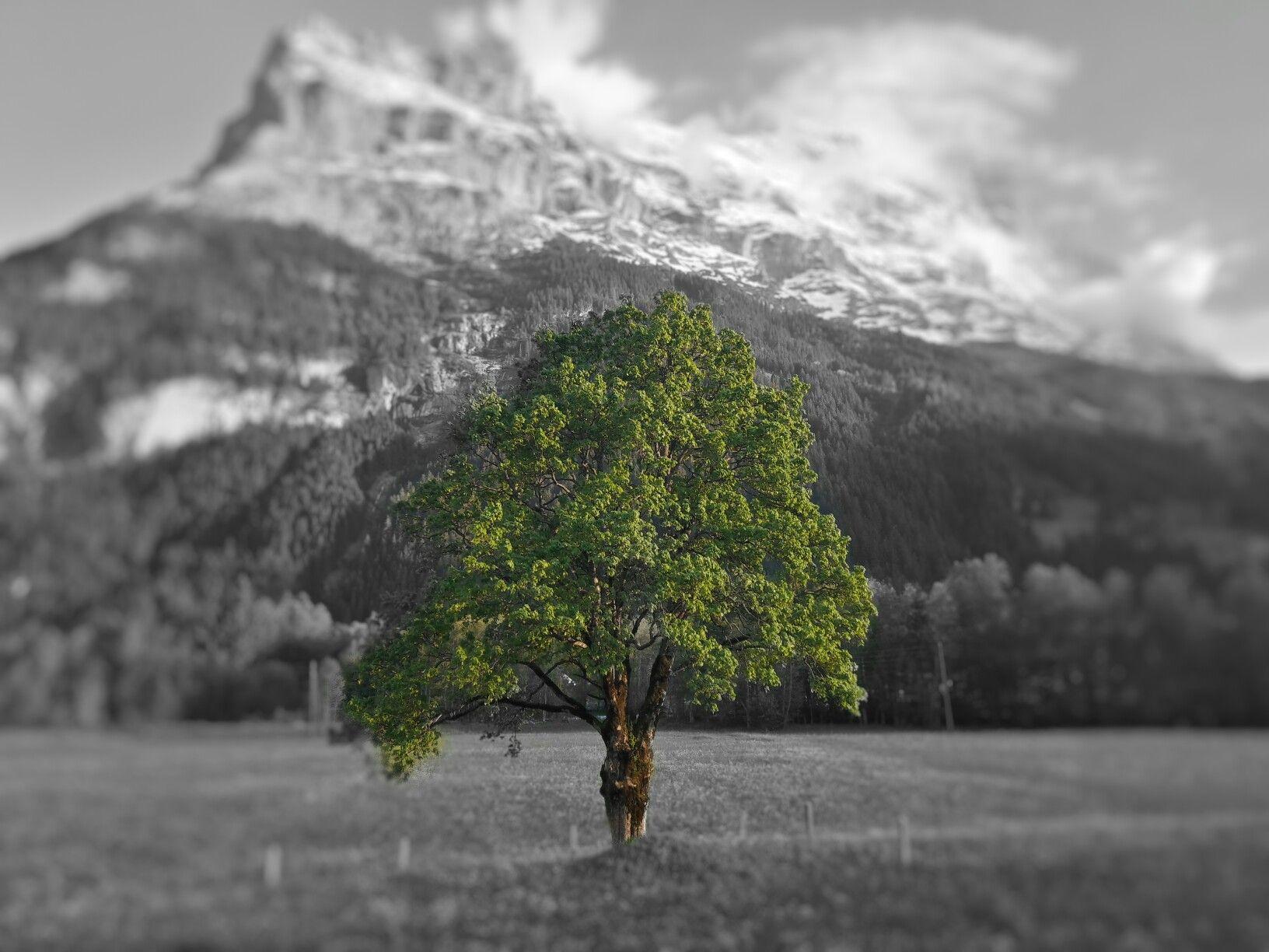 Eiger Wallpapers - Wallpaper Cave