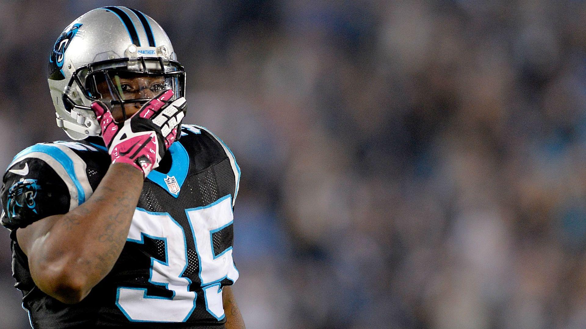 Mike Tolbert Wallpapers - Wallpaper Cave