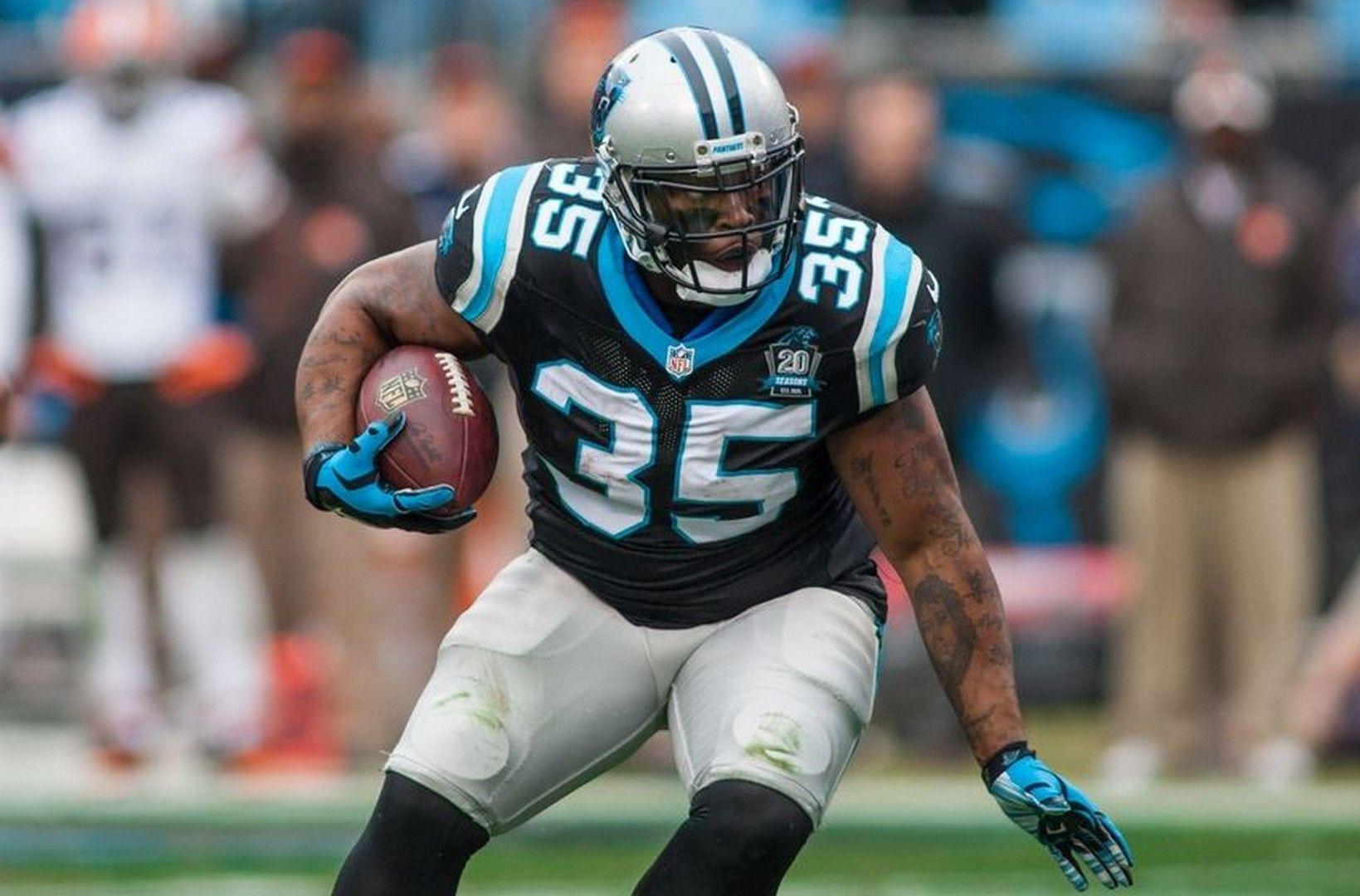 Mike Tolbert Wallpapers - Wallpaper Cave