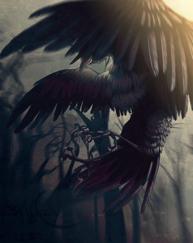 Honchkrow Wallpapers - Wallpaper Cave