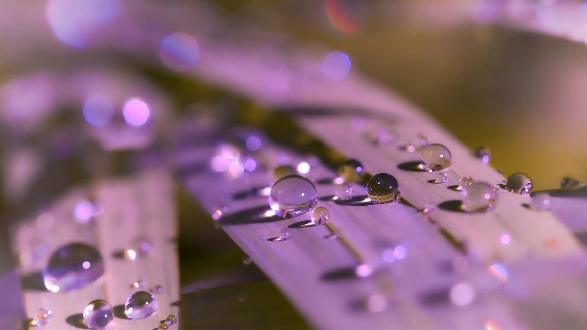 Rain Drops HD Wallpapers - Wallpaper Cave