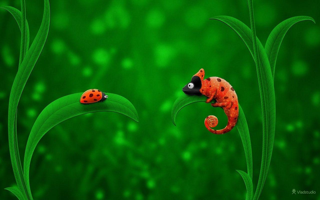 Ladybird Wallpapers - Wallpaper Cave