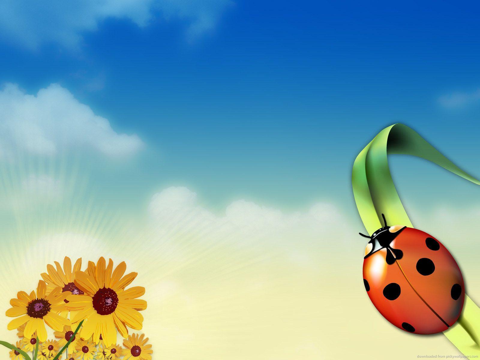 Ladybird Wallpapers - Wallpaper Cave