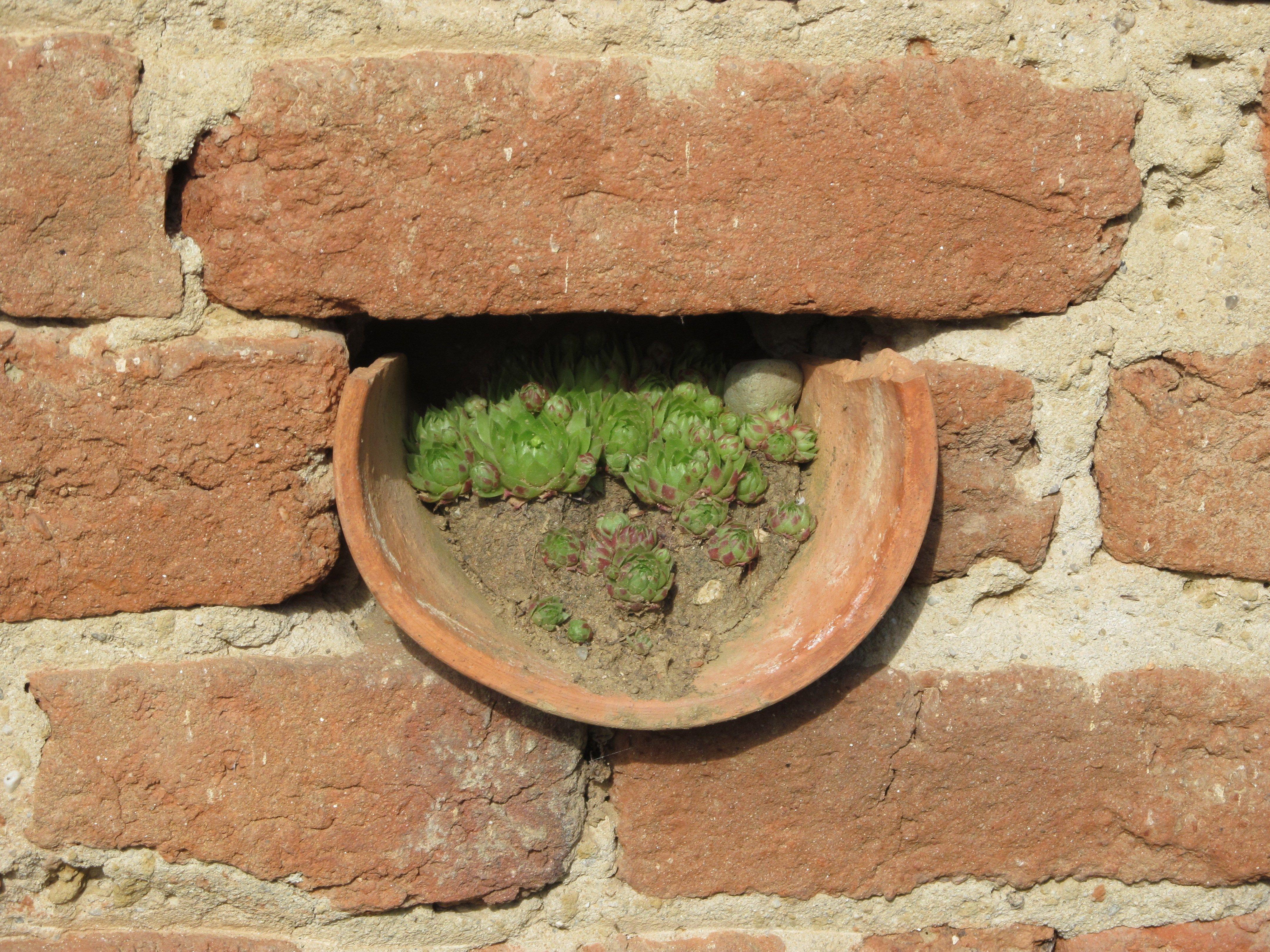 Common Computer Wallpapers - Wallpaper Cave