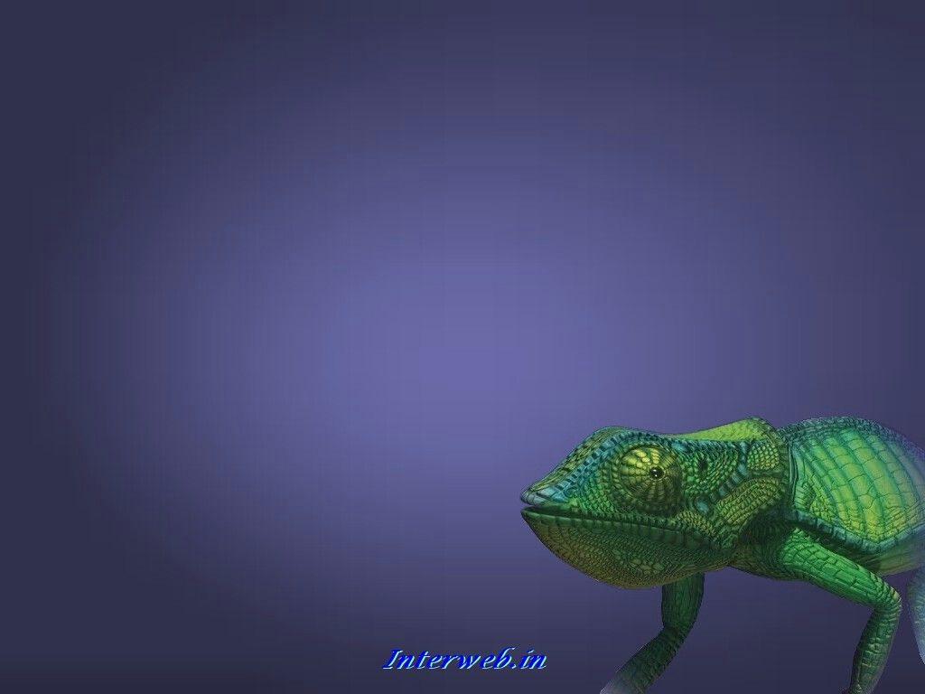 Common Computer Wallpapers - Wallpaper Cave