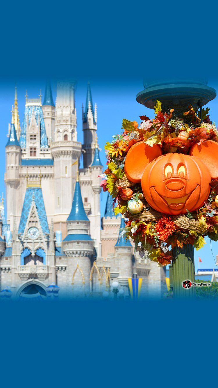 Walt Disney World Wallpapers - Wallpaper Cave