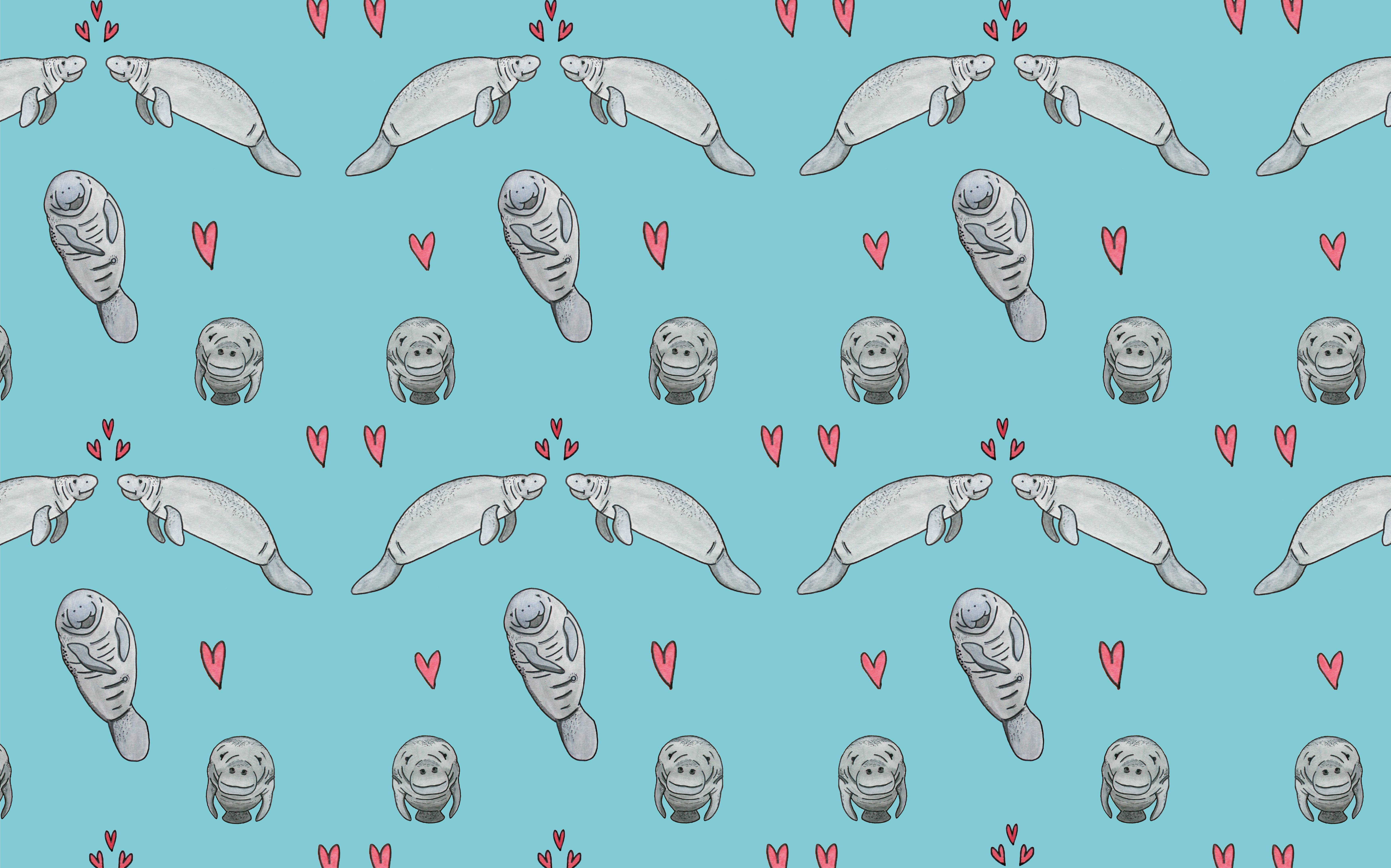 Manatees Wallpapers - Wallpaper Cave