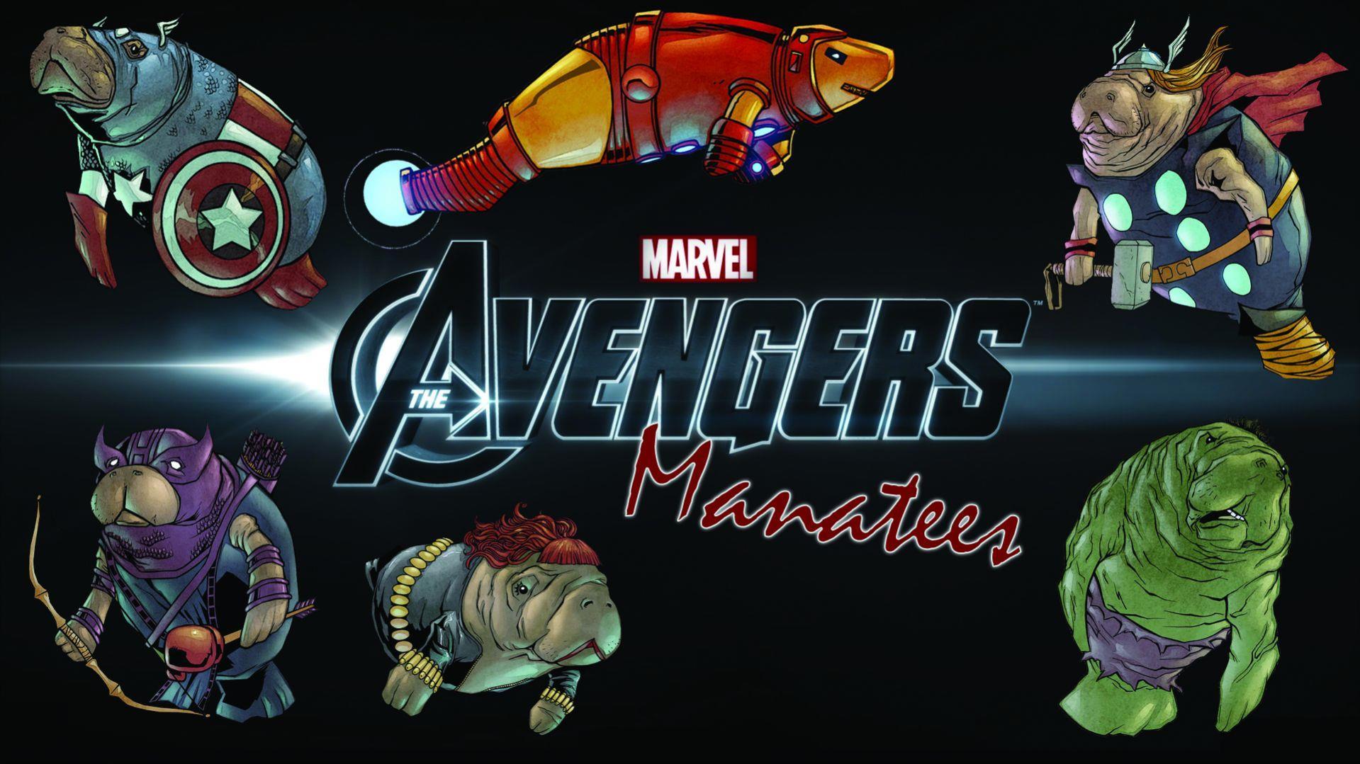 Manatees Wallpapers - Wallpaper Cave