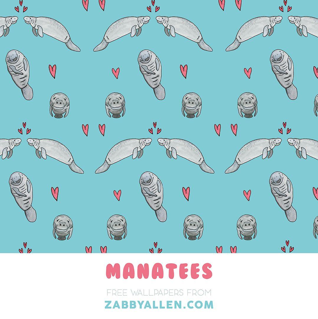 Manatees Wallpapers - Wallpaper Cave