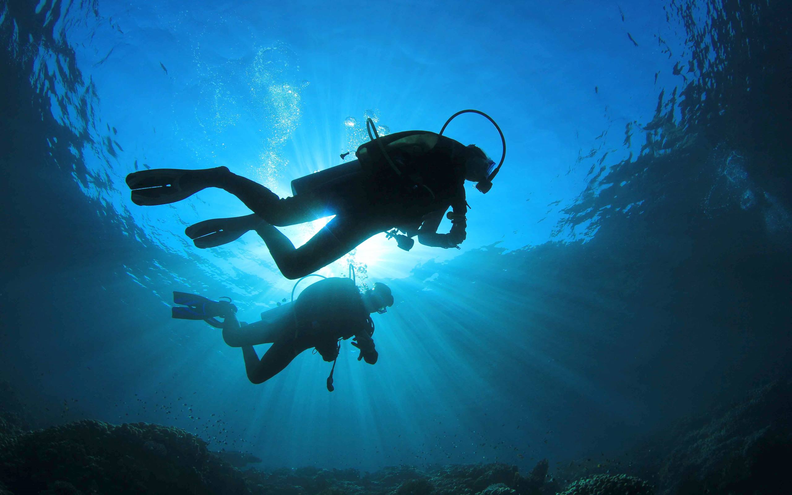 Deep Sea Diving Wallpapers Wallpaper Cave Deep Sea Diving Wallpapers Wallpaper Cave