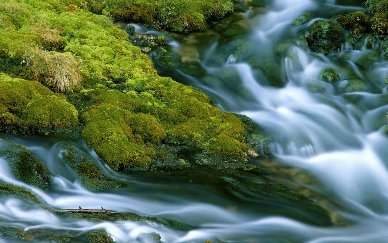 Streams Wallpapers - Wallpaper Cave