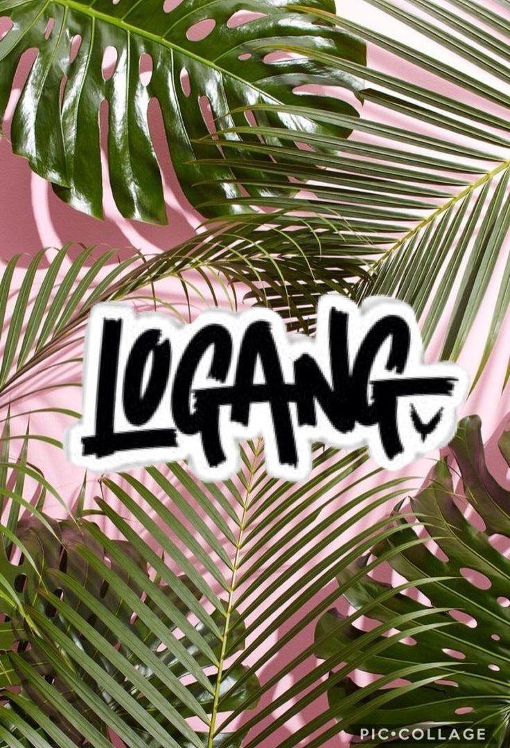 Logang Wallpapers - Wallpaper Cave