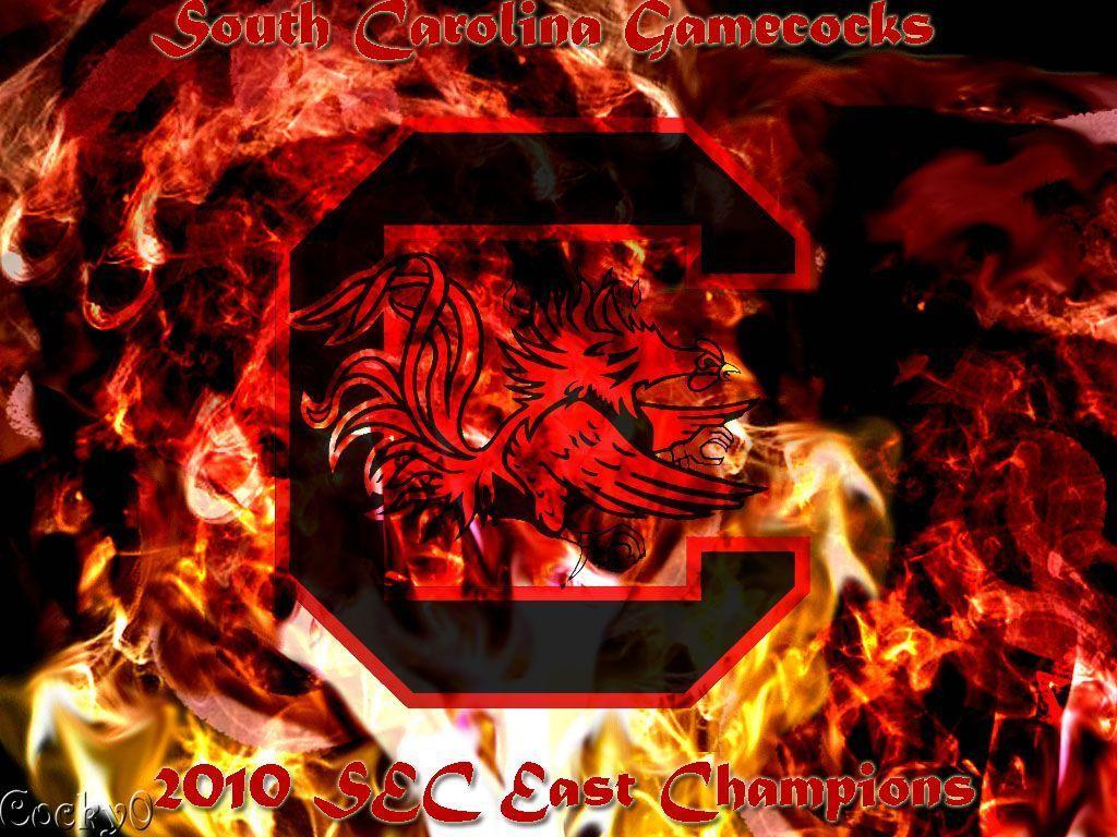 Carolina Gamecock Wallpapers - Wallpaper Cave