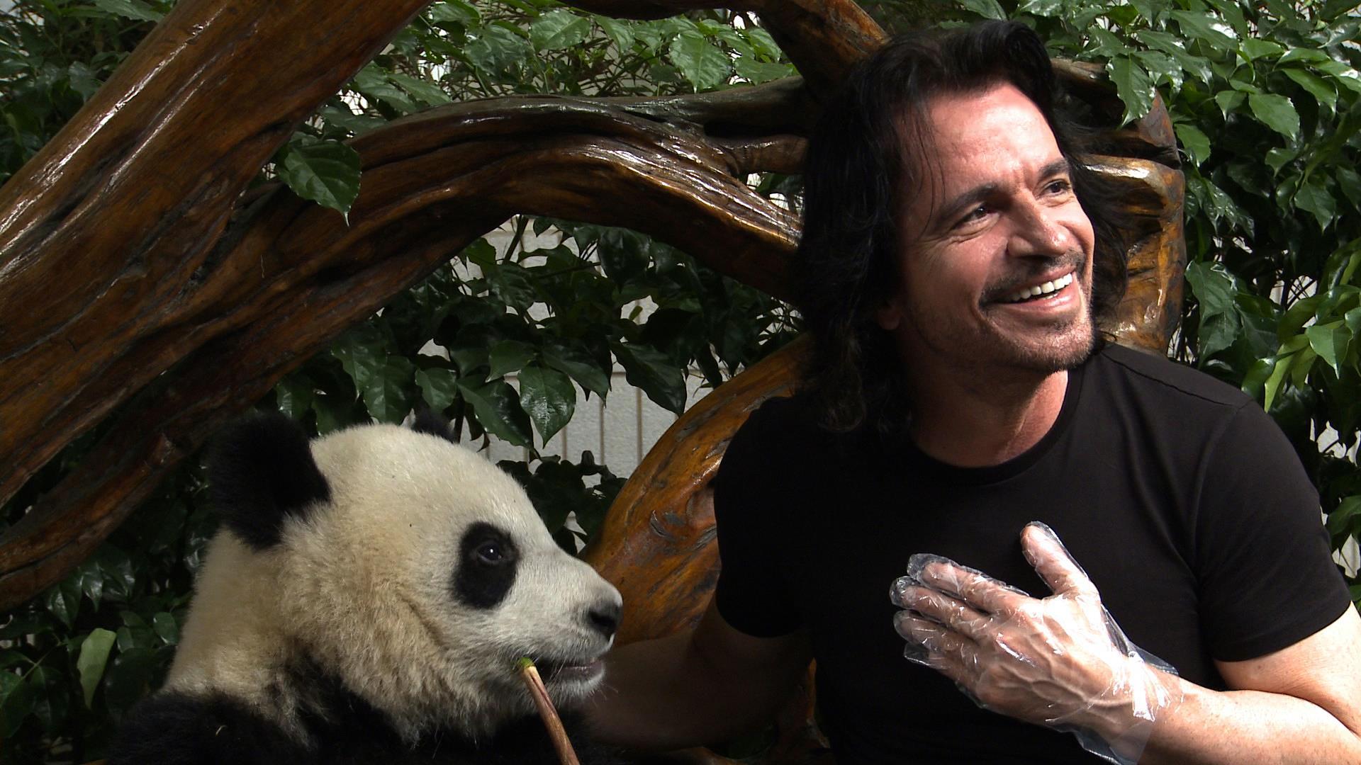 Yanni Wallpapers - Wallpaper Cave