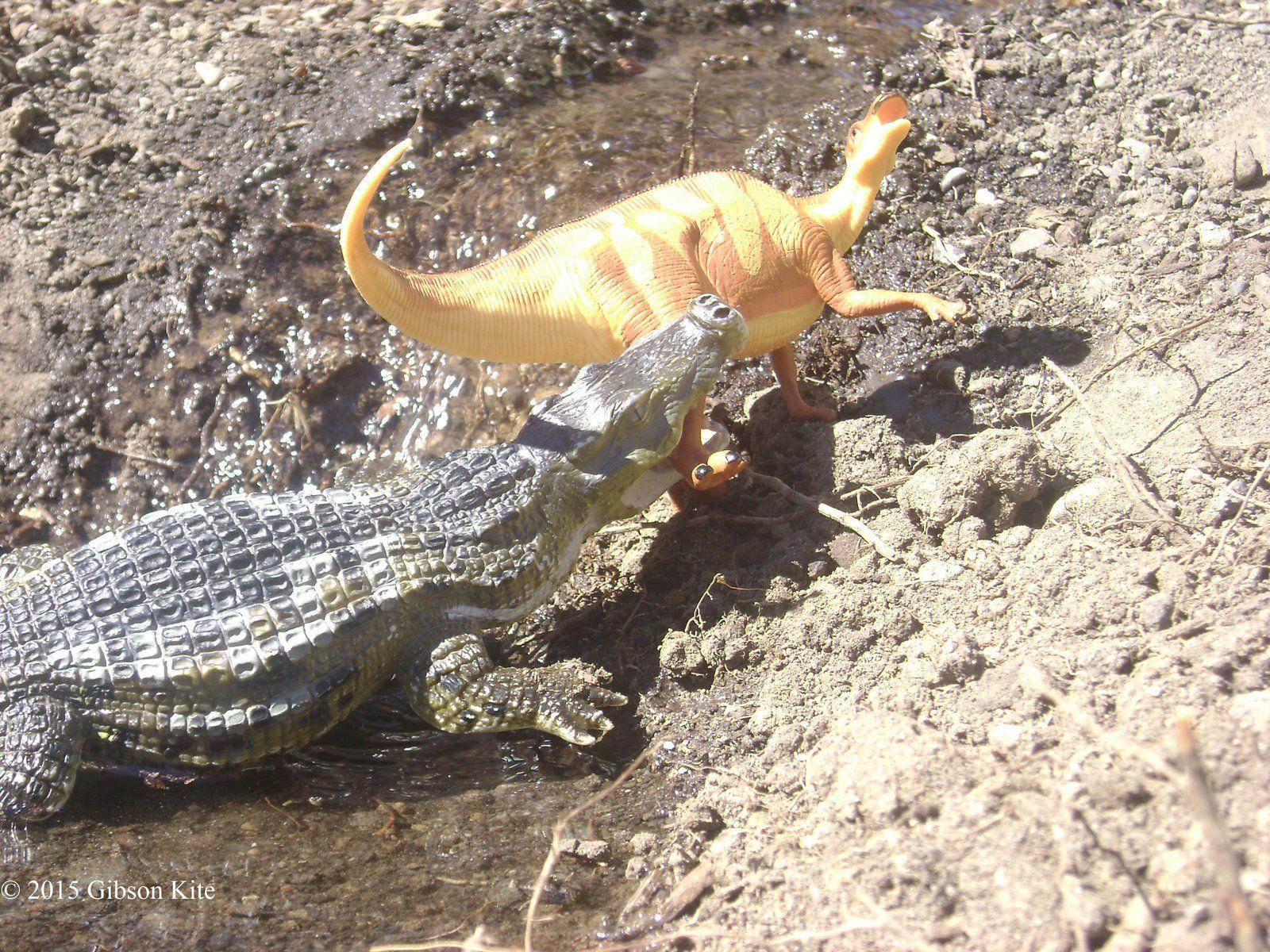 Deinosuchus Wallpapers - Wallpaper Cave