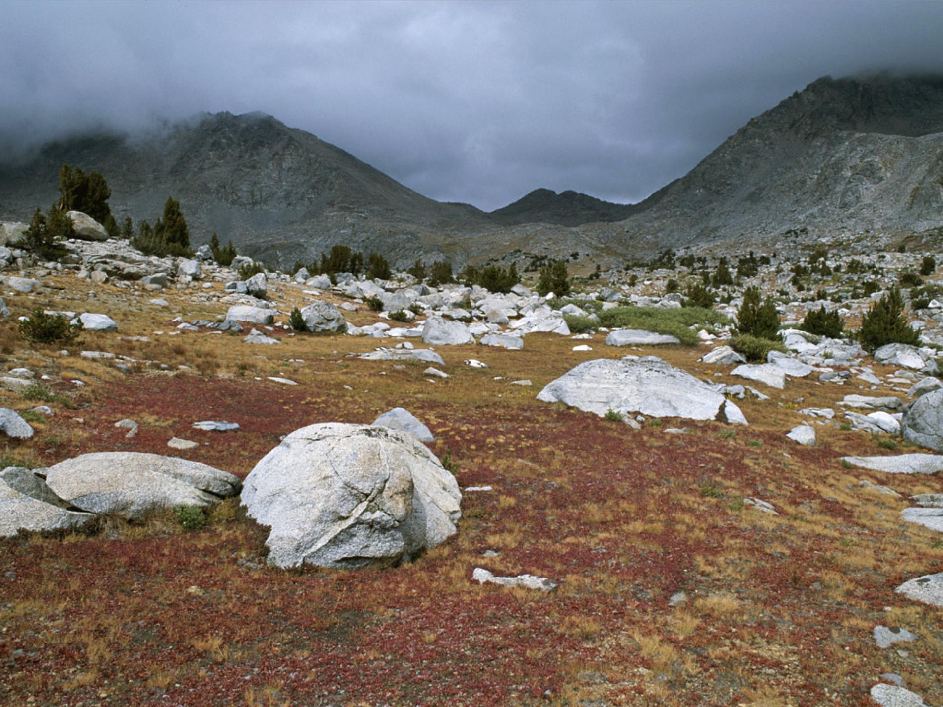 Arctic Tundra Wallpapers Wallpaper Cave Arctic Tundra Wallpapers Wallpaper Cave