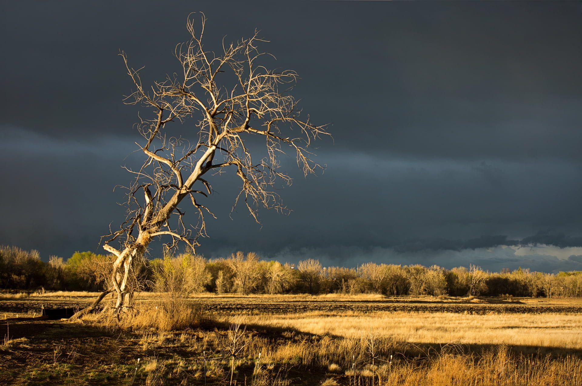Cloudy Deserts Wallpapers - Wallpaper Cave
