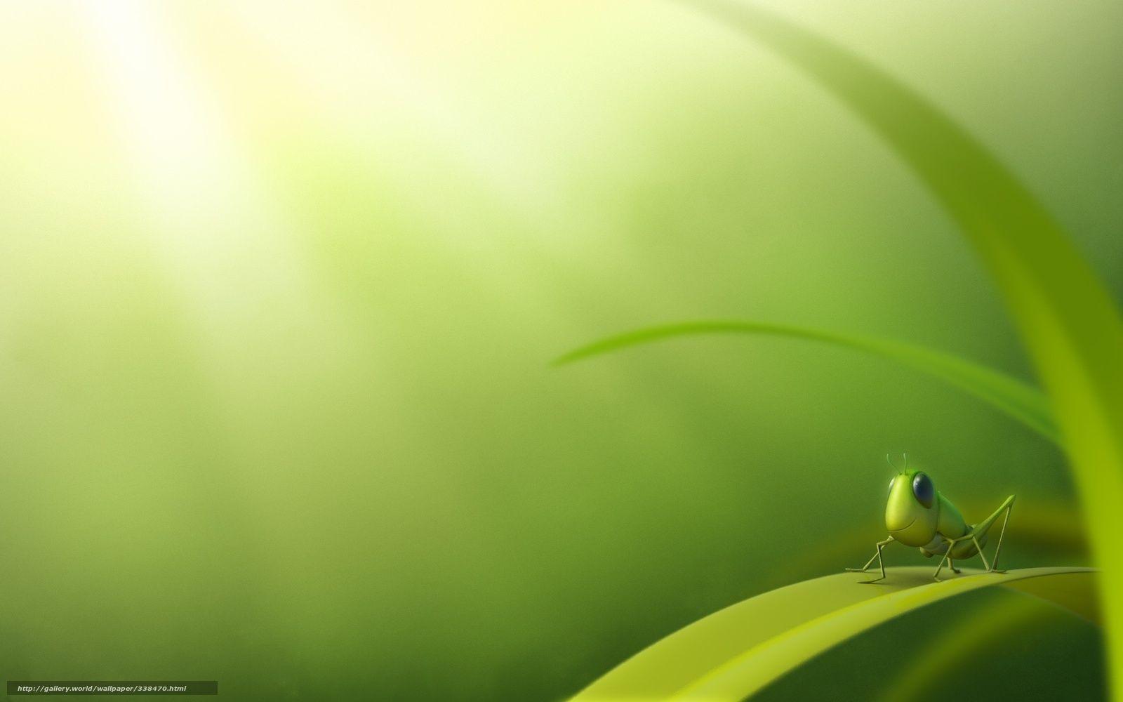 Grasshopper Wallpapers - Wallpaper Cave